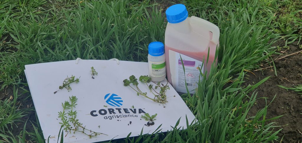 Herbicid "Kveleks" i fungicid "Univok" kompanije "Corteva" - RTV Santos